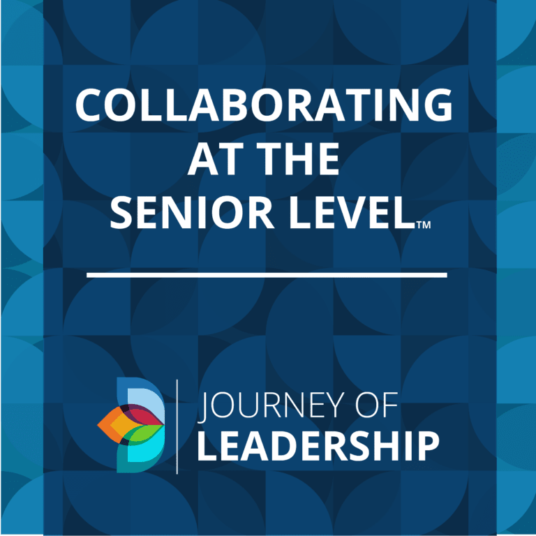 Leadership Development using Experiential Training | Eagle's Flight